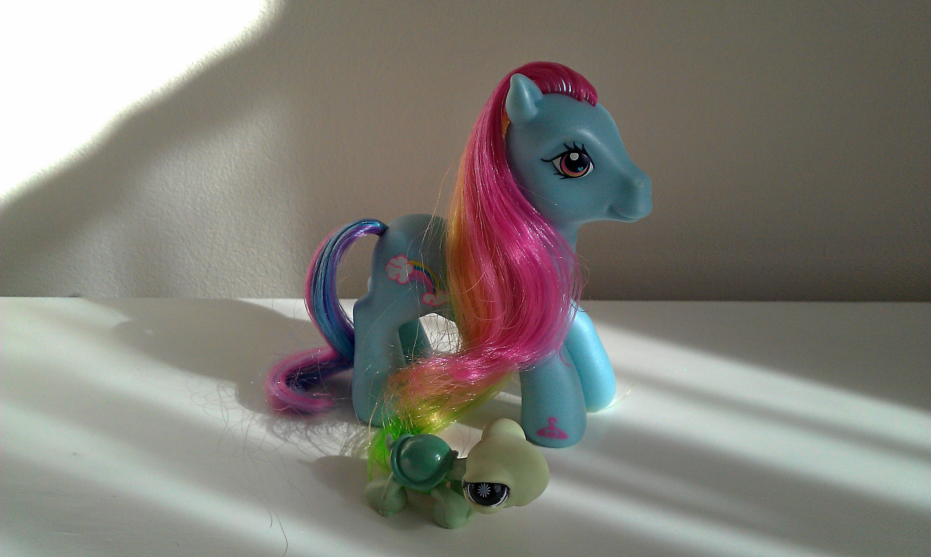 G3 Rainbow Dash with Tortoise LPS | Florence Meade